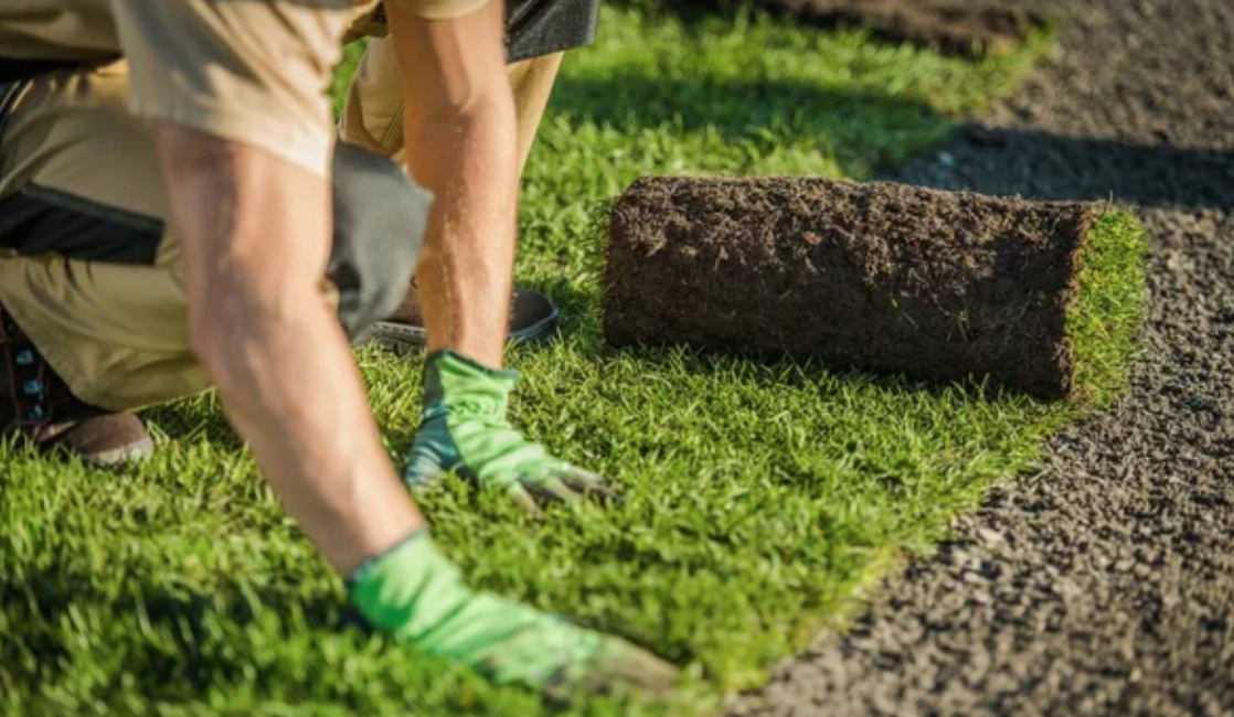 Mastering Golf Course Turf: Tips for Pristine Green Maintenance